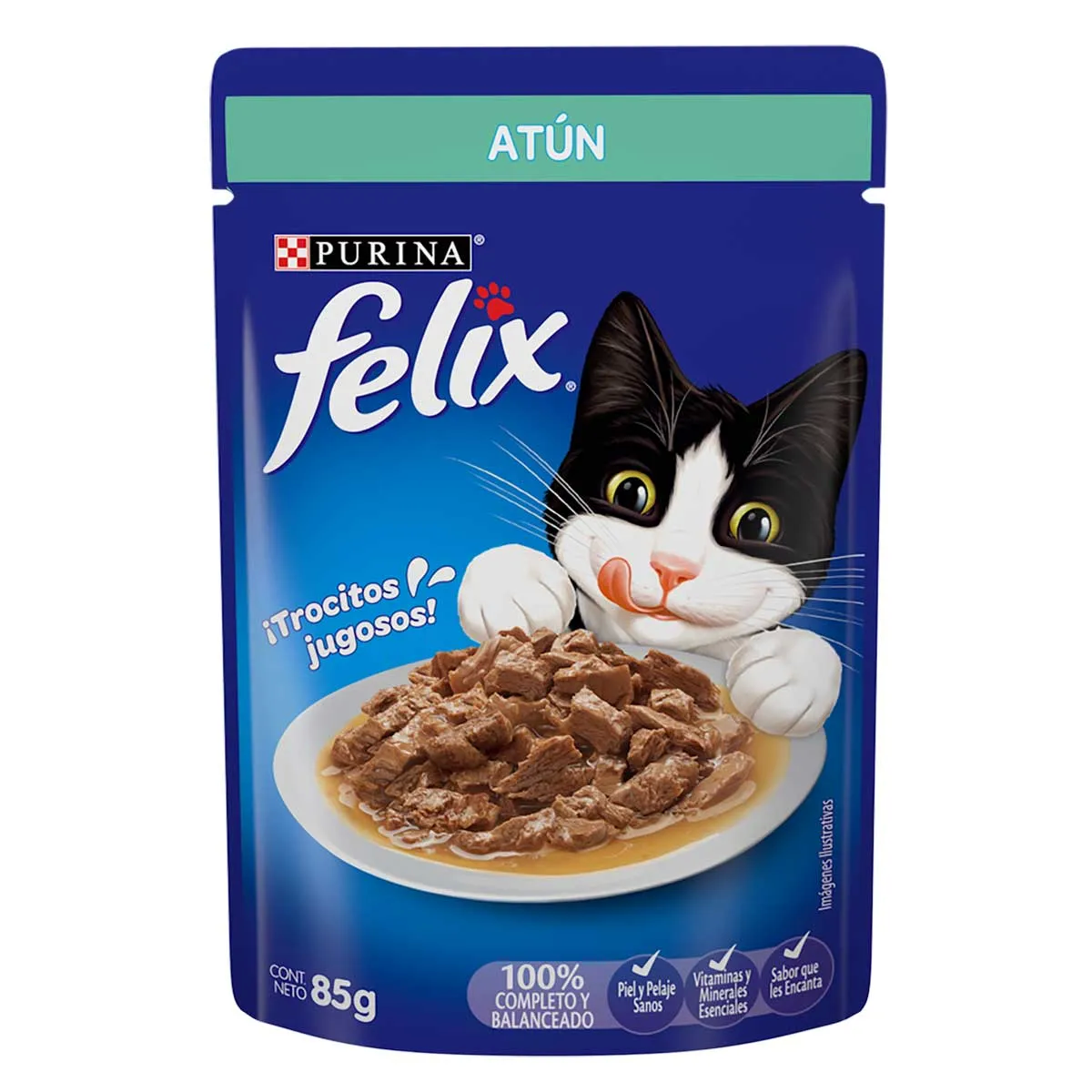 FELIX POUCH ATUN 12/1/85 GR – Servicio Comercial Garis